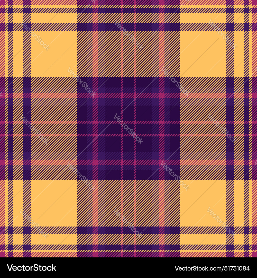 Paper pattern texture plaid punk tartan check Vector Image