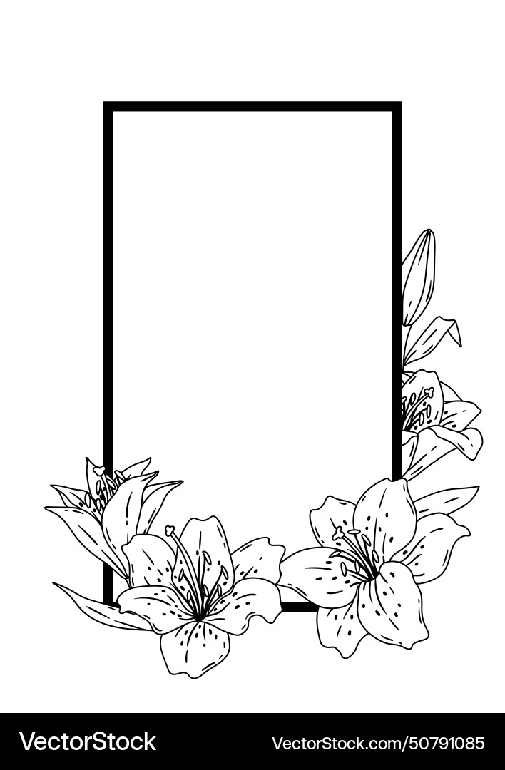 Frame with lilies beautiful decorative plants Vector Image