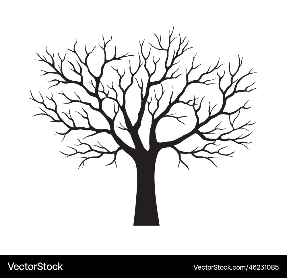 Shape of black tree with leaves outline Royalty Free Vector