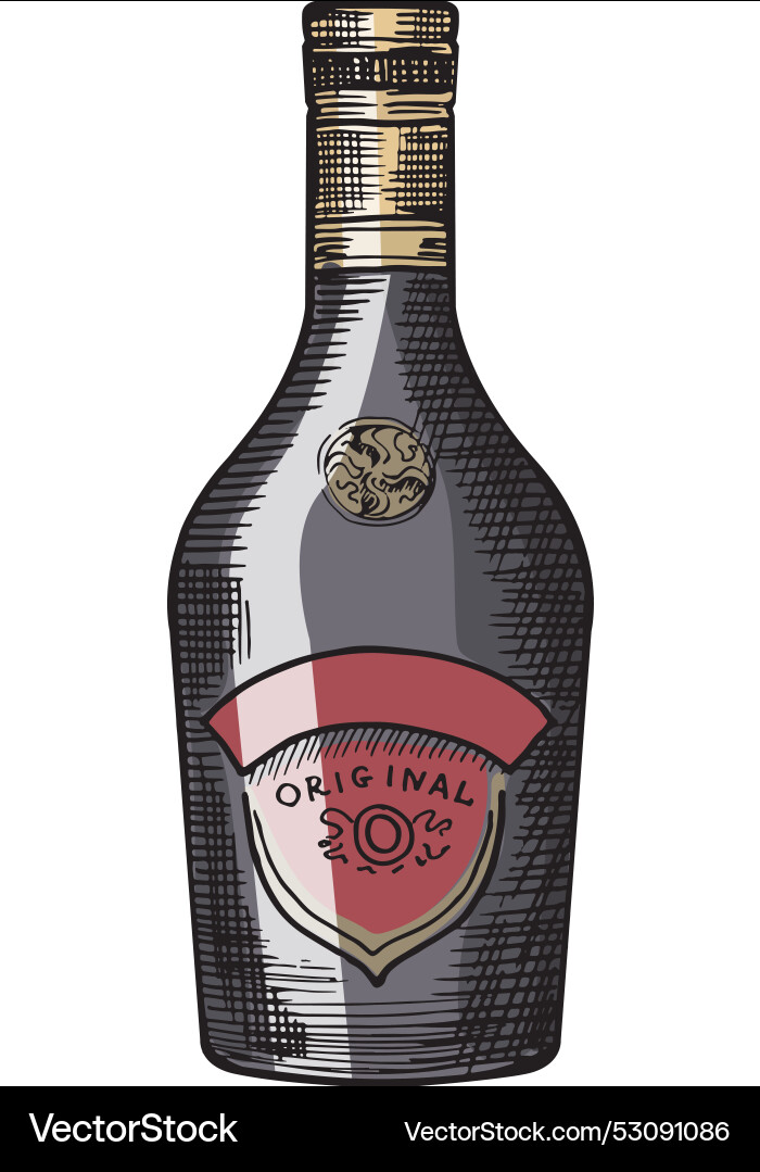 Alcohol glass bottle hand drawn brandy or bourbon Vector Image