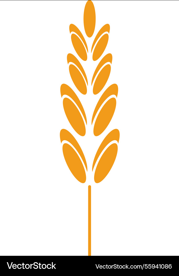 Wheat Stalk Icon - Agriculture Royalty Free Vector Image