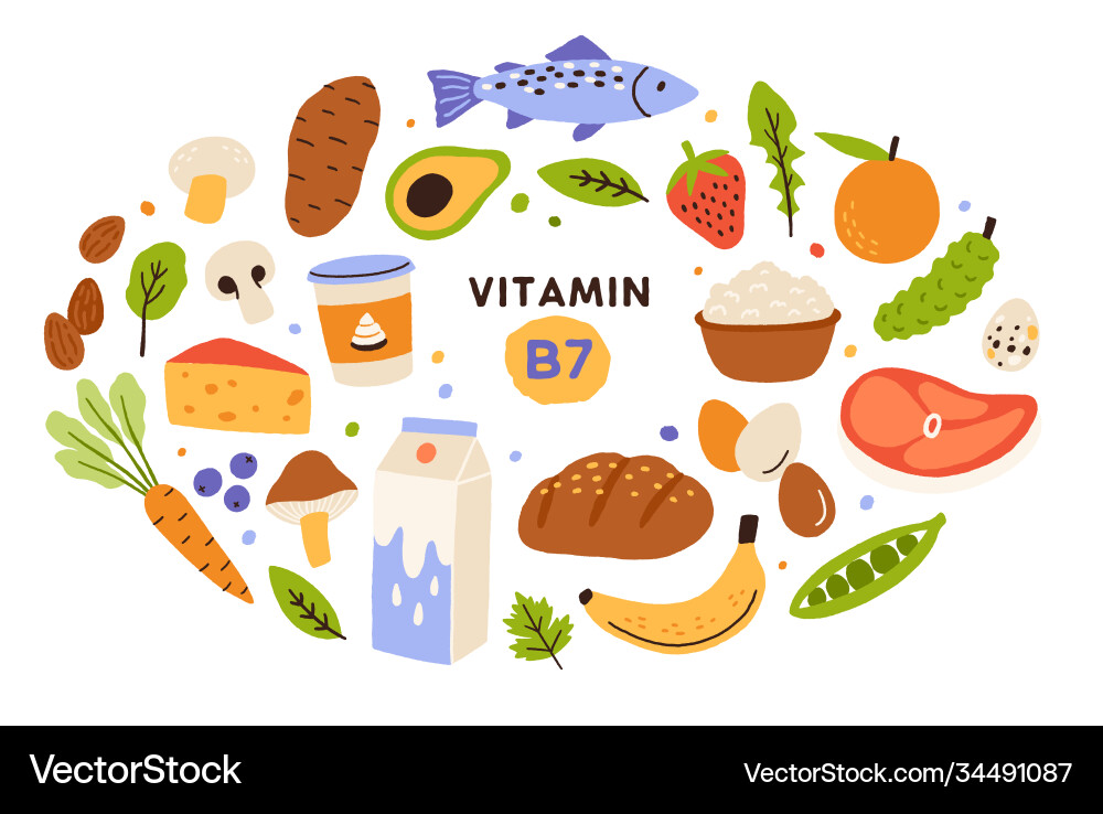Collection vitamin b7 source food containing Vector Image