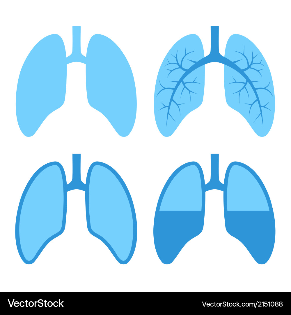 Lung Vector Images (over 48,000)