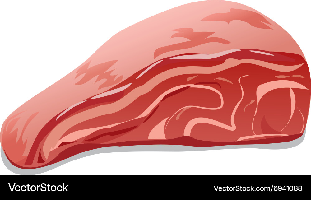 Raw meat Royalty Free Vector Image - VectorStock