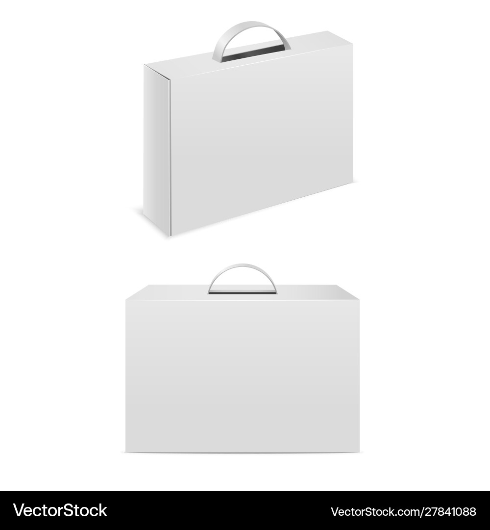 Realistic detailed 3d white blank box case Vector Image