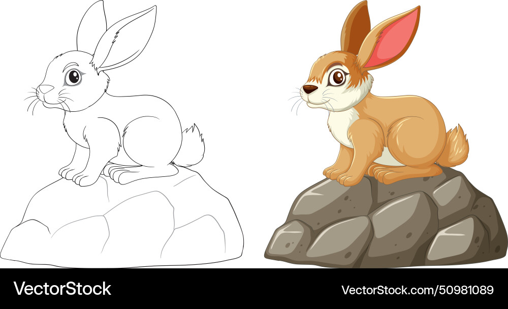 A rabbit sitting on rock Royalty Free Vector Image