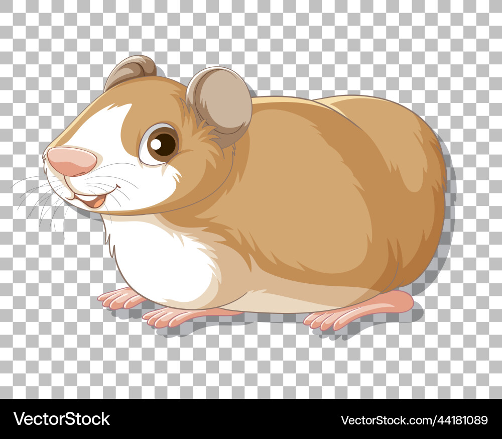 Hamster in cartoon style Royalty Free Vector Image