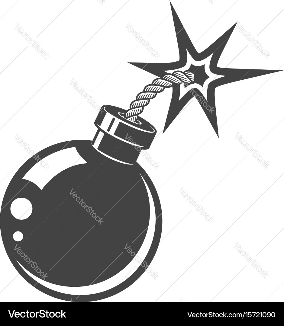 Explosion Bomb Icon Royalty Free Vector Image - VectorStock