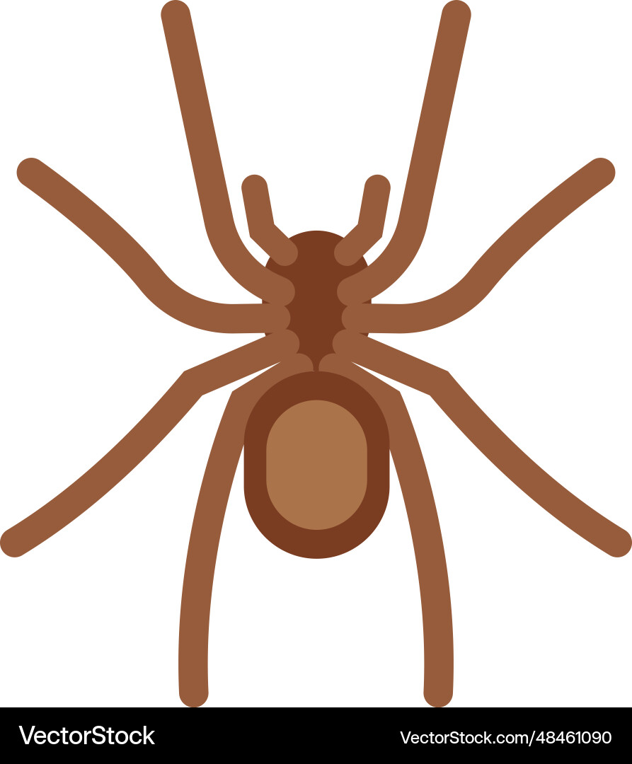Spider flat insect icon arachnid color symbol Vector Image