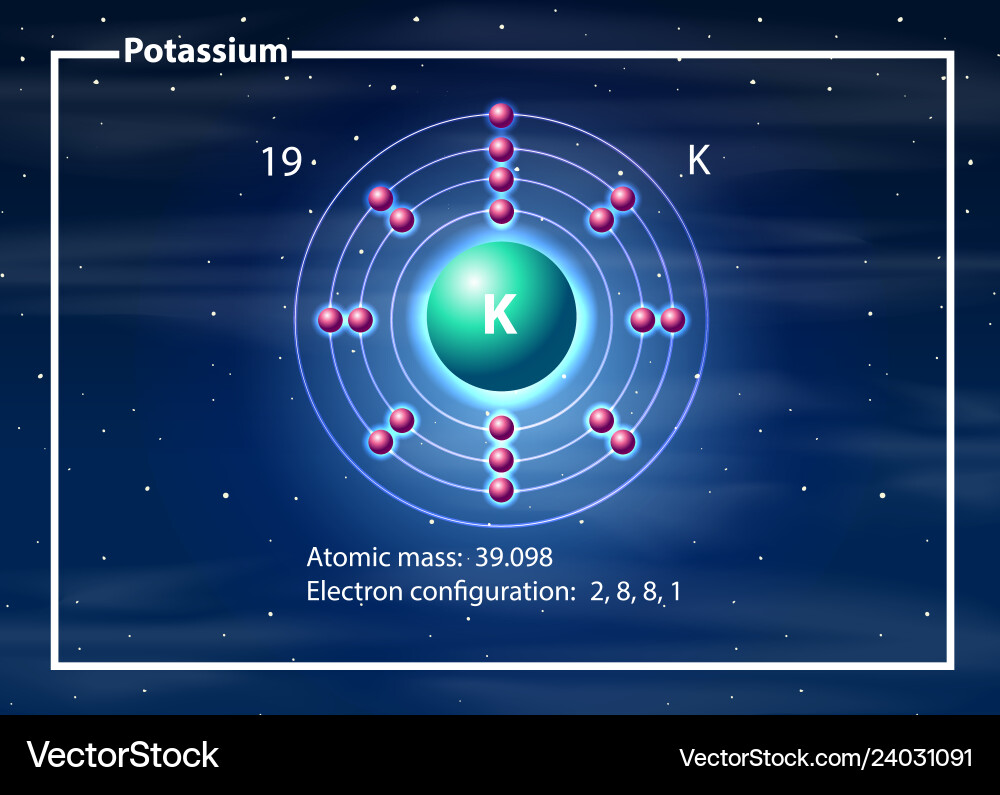 A potassium atom diagram Royalty Free Vector Image