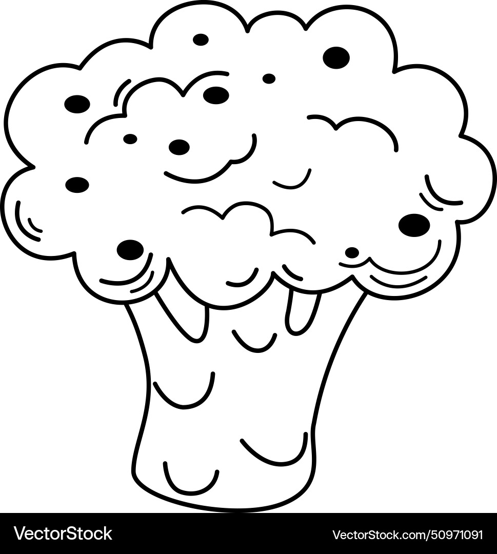 Broccoli outline white on background Royalty Free Vector
