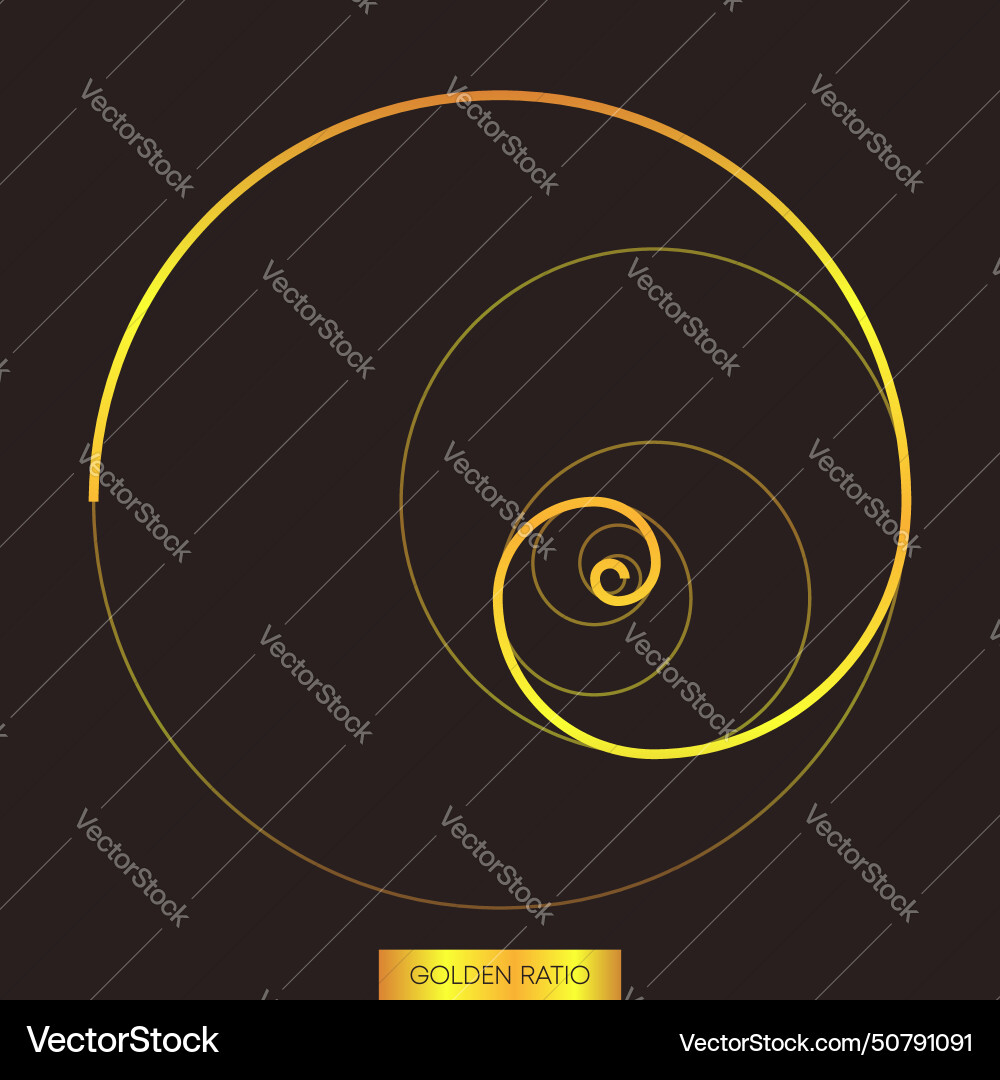 Golden ratio circles in proportion Royalty Free Vector Image