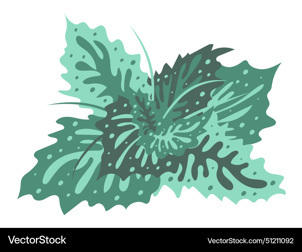 Green leaves in bush flat design abstract Vector Image