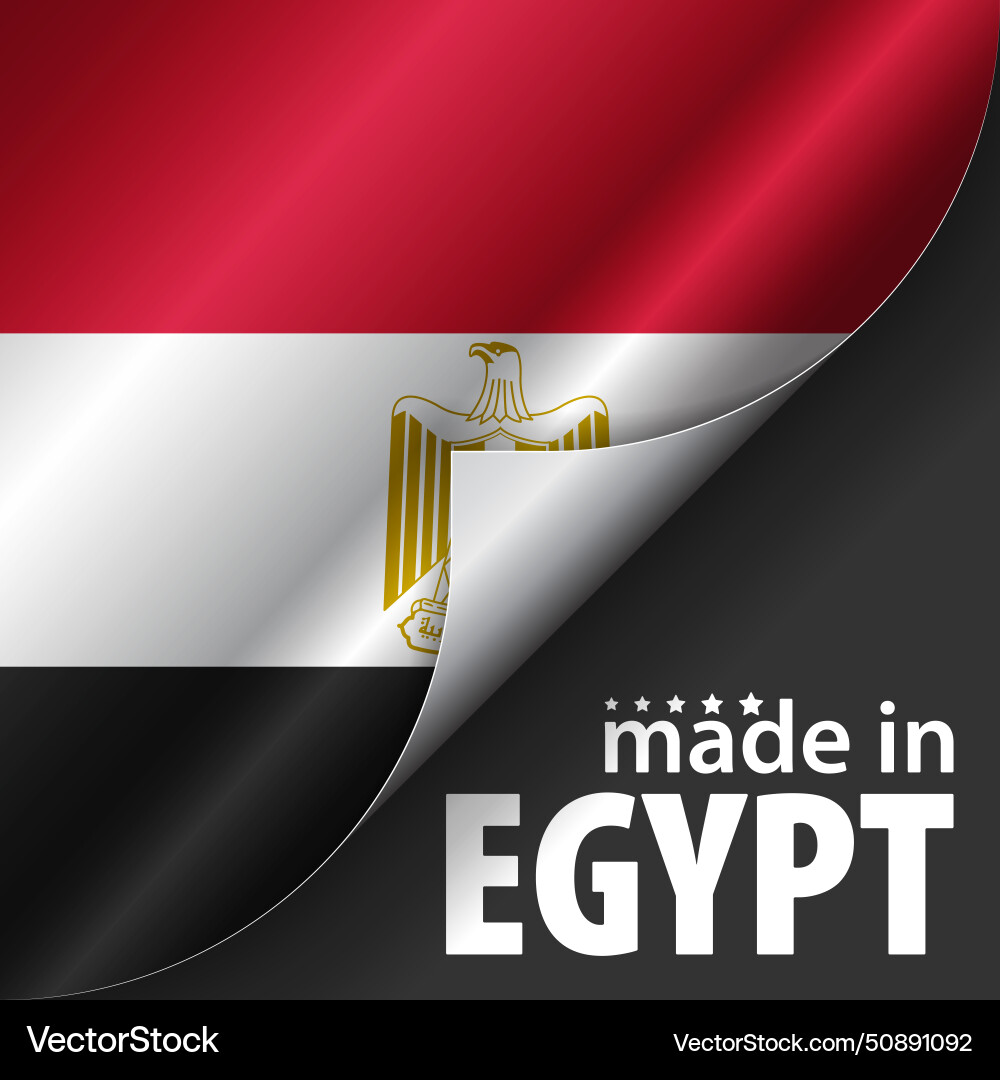 Made in egypt graphic and label Royalty Free Vector Image