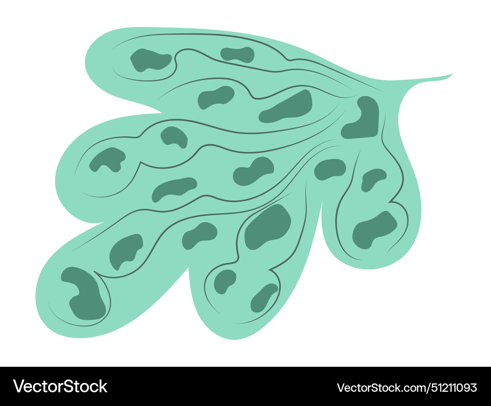 Big green leaf in flat design abstract tropical Vector Image