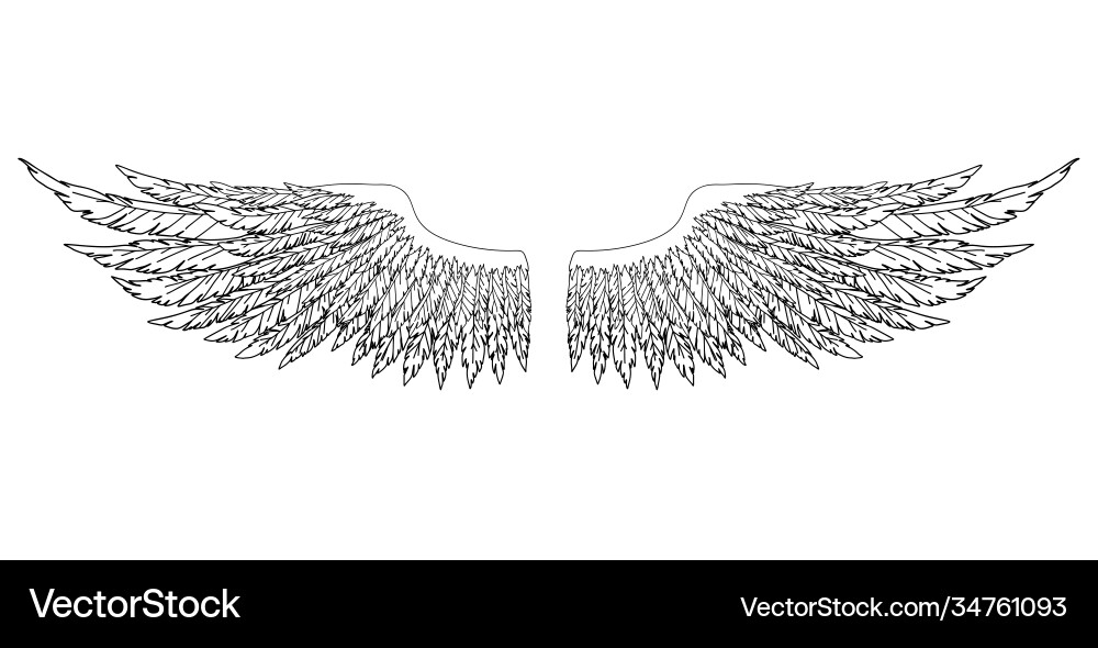 Black and white hand-drawn wings Royalty Free Vector Image
