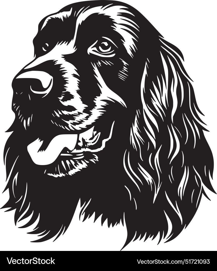 Cocker spaniel - high quality logo ideal Vector Image