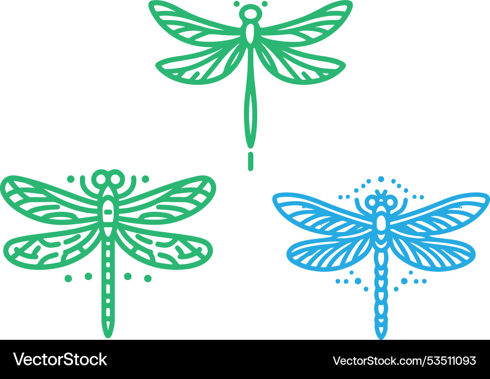 Dragonfly in the morning dew Royalty Free Vector Image