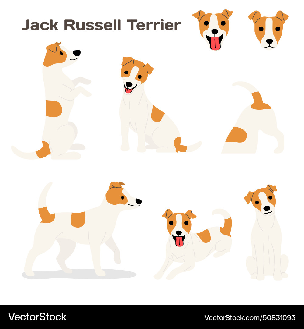 Happy jack russell terrier cartoon Royalty Free Vector Image