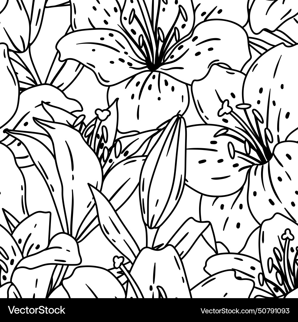Pattern with lilies flowers beautiful decorative Vector Image