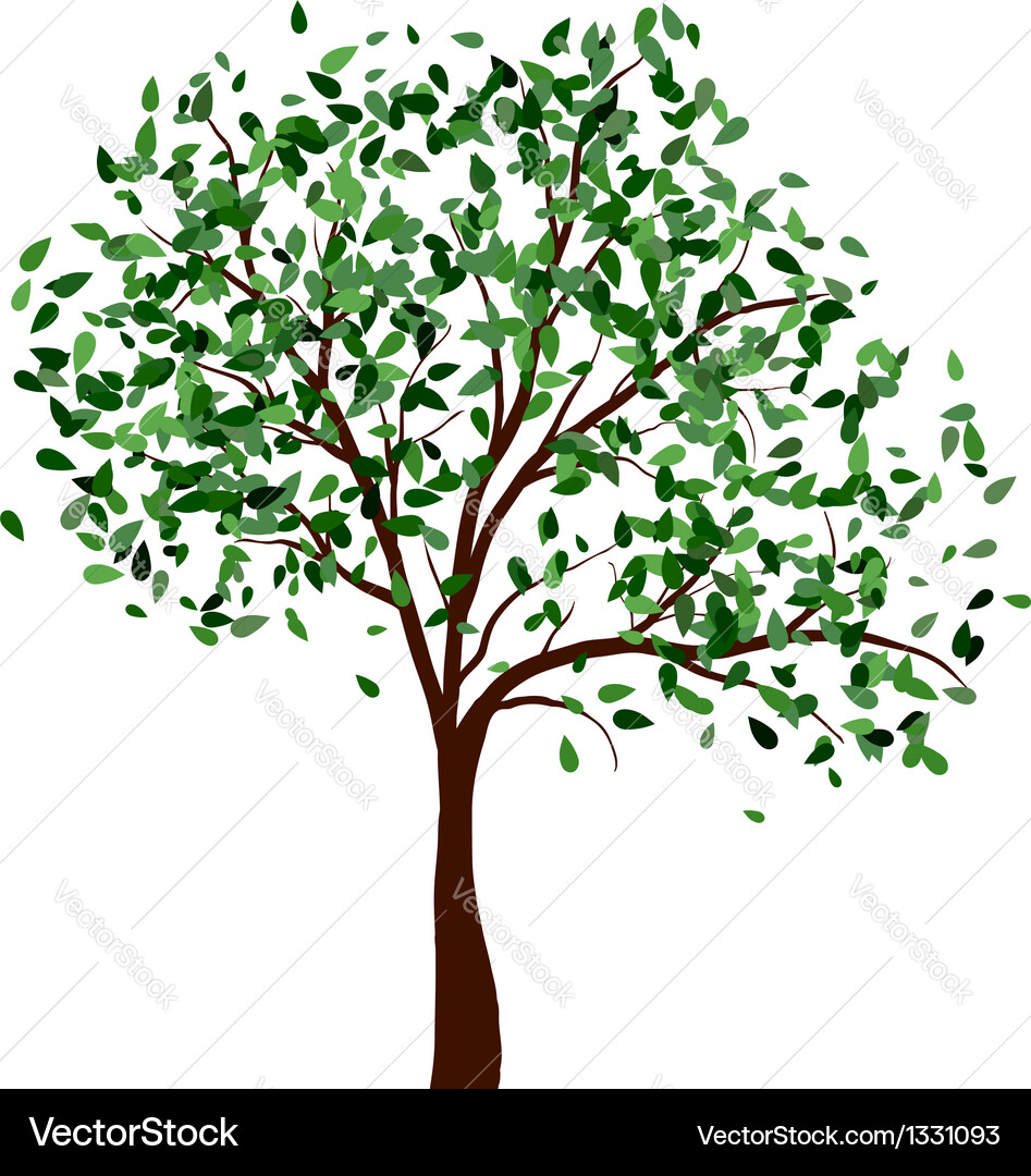Summer tree Royalty Free Vector Image - VectorStock