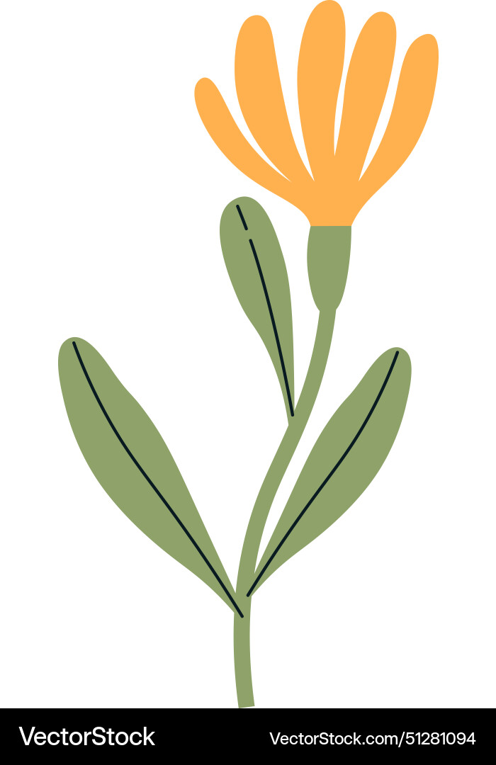 Flower on stem Royalty Free Vector Image - VectorStock