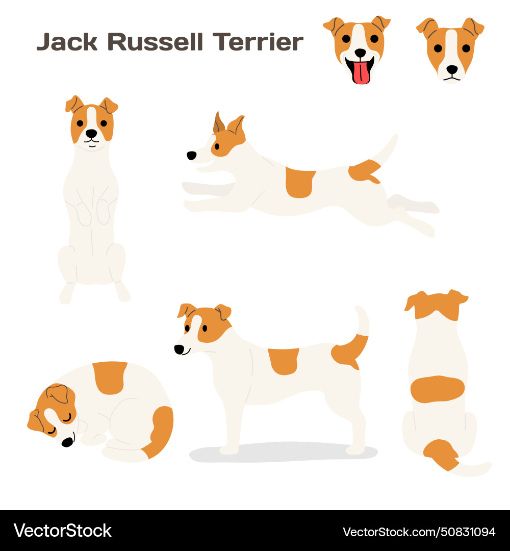 Happy jack russell terrier cartoon Royalty Free Vector Image