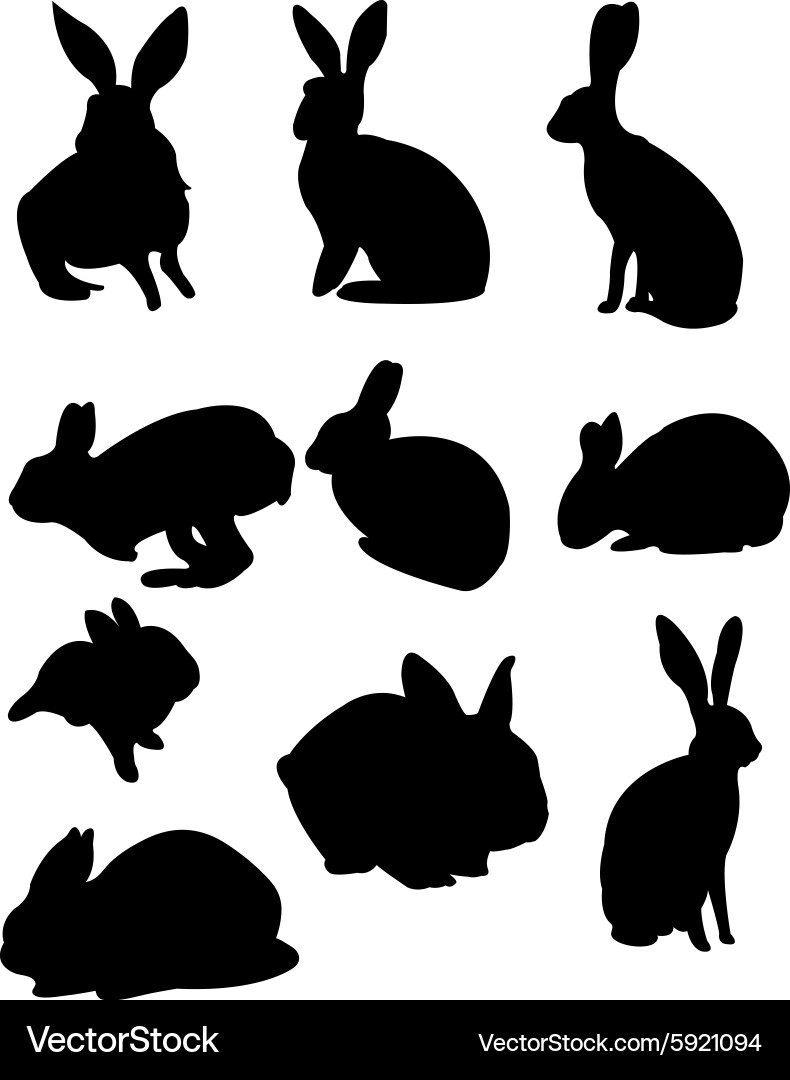 Rabbits Royalty Free Vector Image - VectorStock