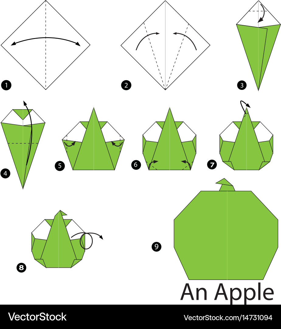 Step by instructions how to make origami Vector Image