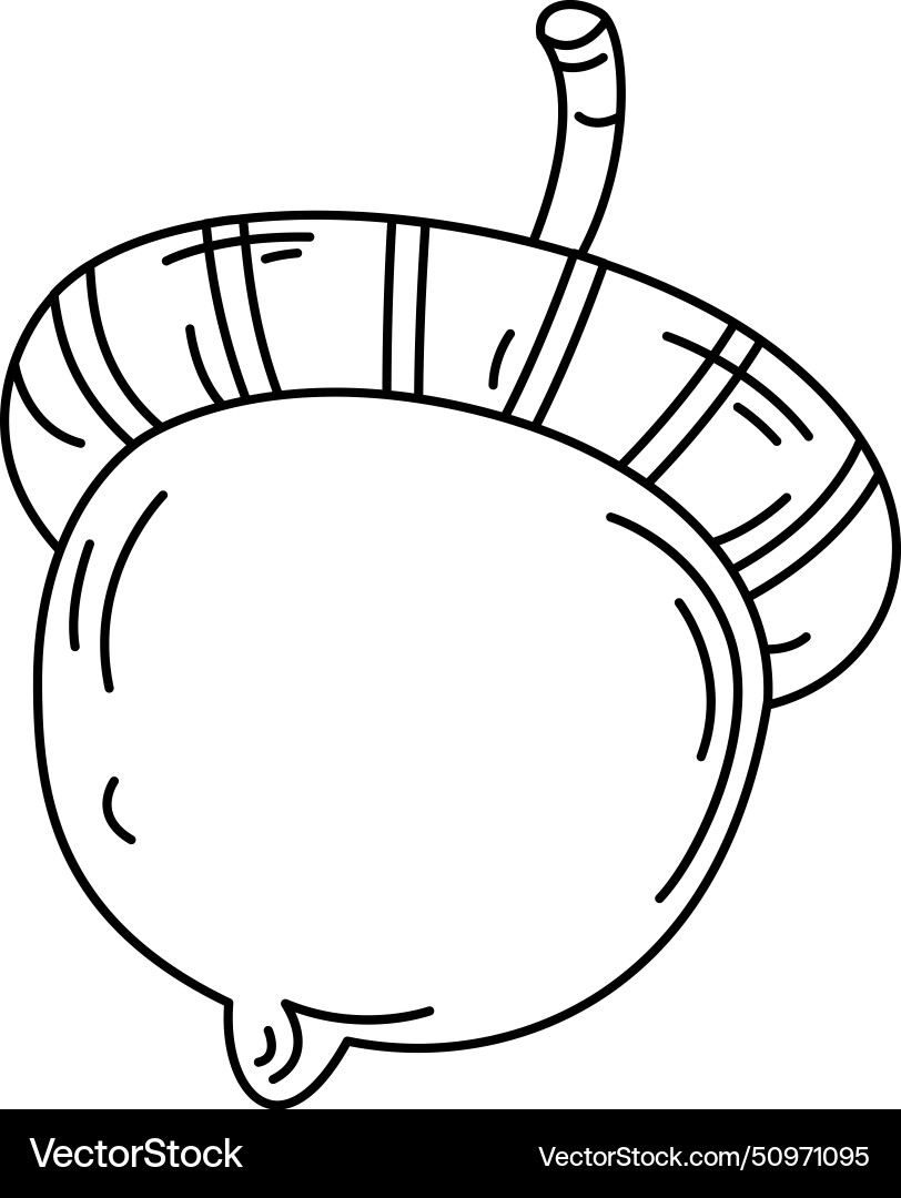 Acorn outline white on background Royalty Free Vector Image