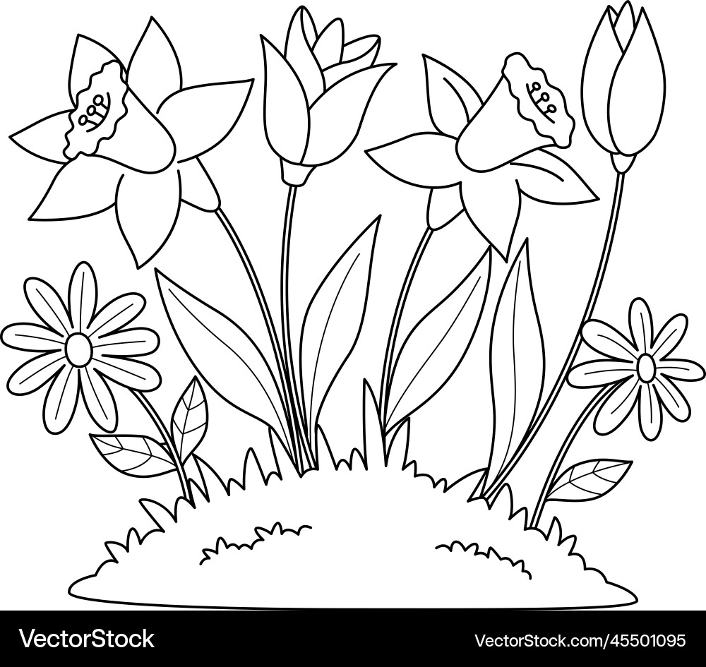 Spring tulip flowers isolated coloring page Vector Image