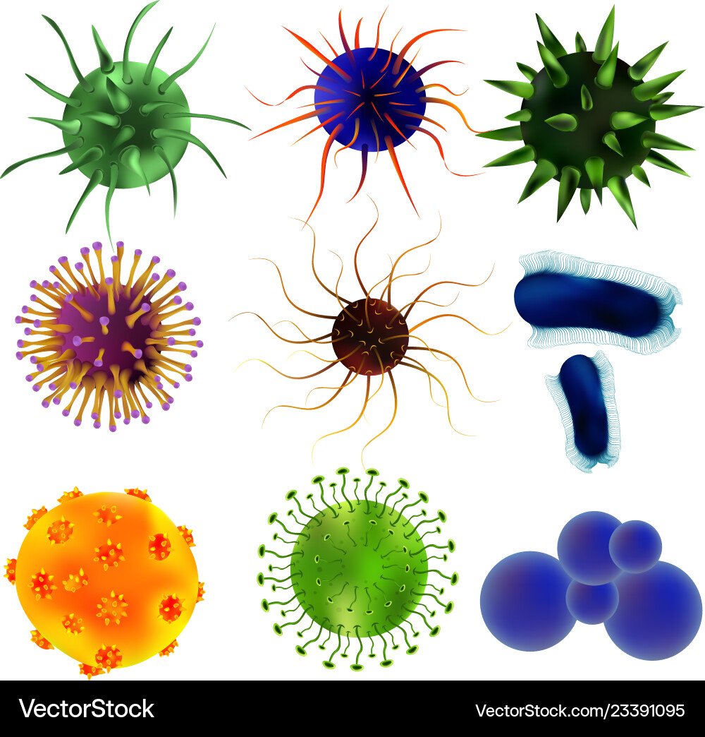 Viruses and Bacteria Microscopic Collection – Royalty-Free Vector ...