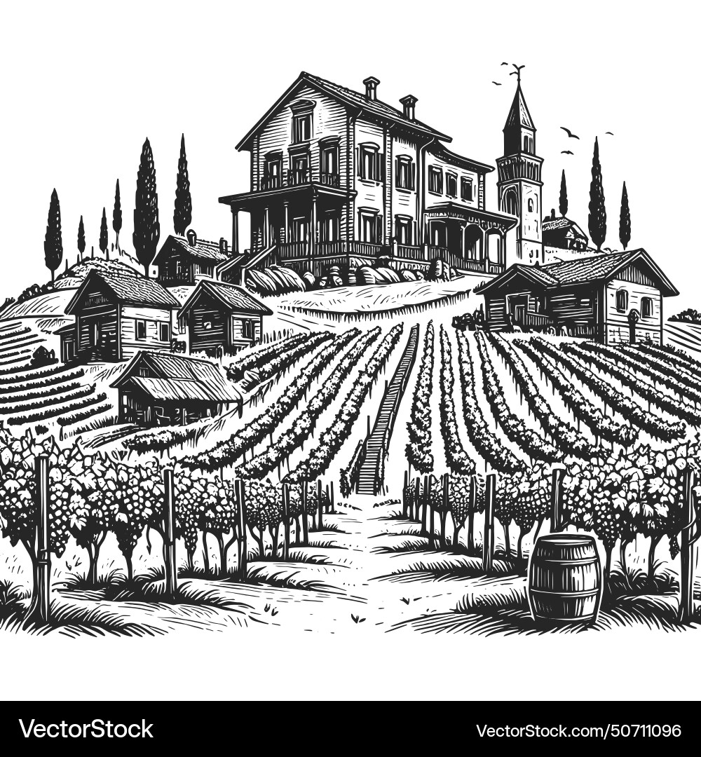 Engraved tuscan vineyard countryside villa Vector Image