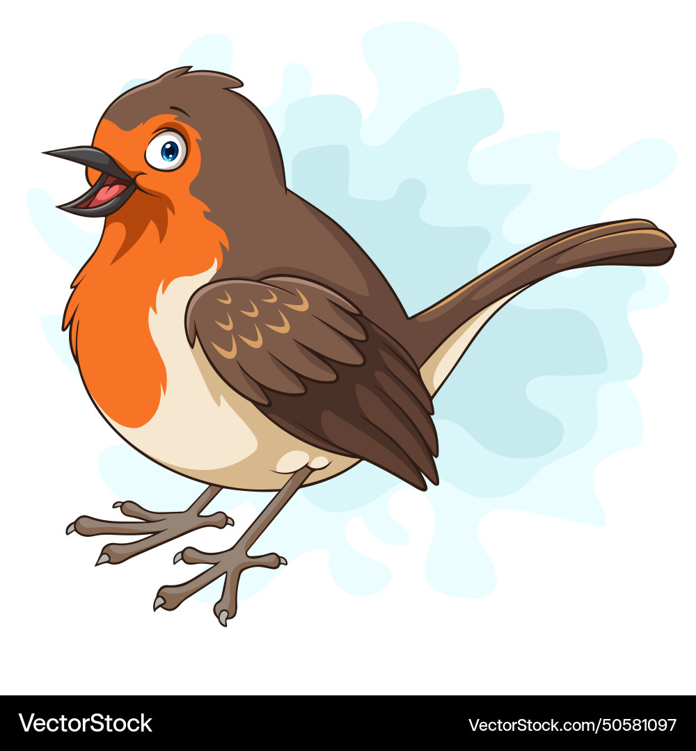 Cartoon robin bird on white background Royalty Free Vector