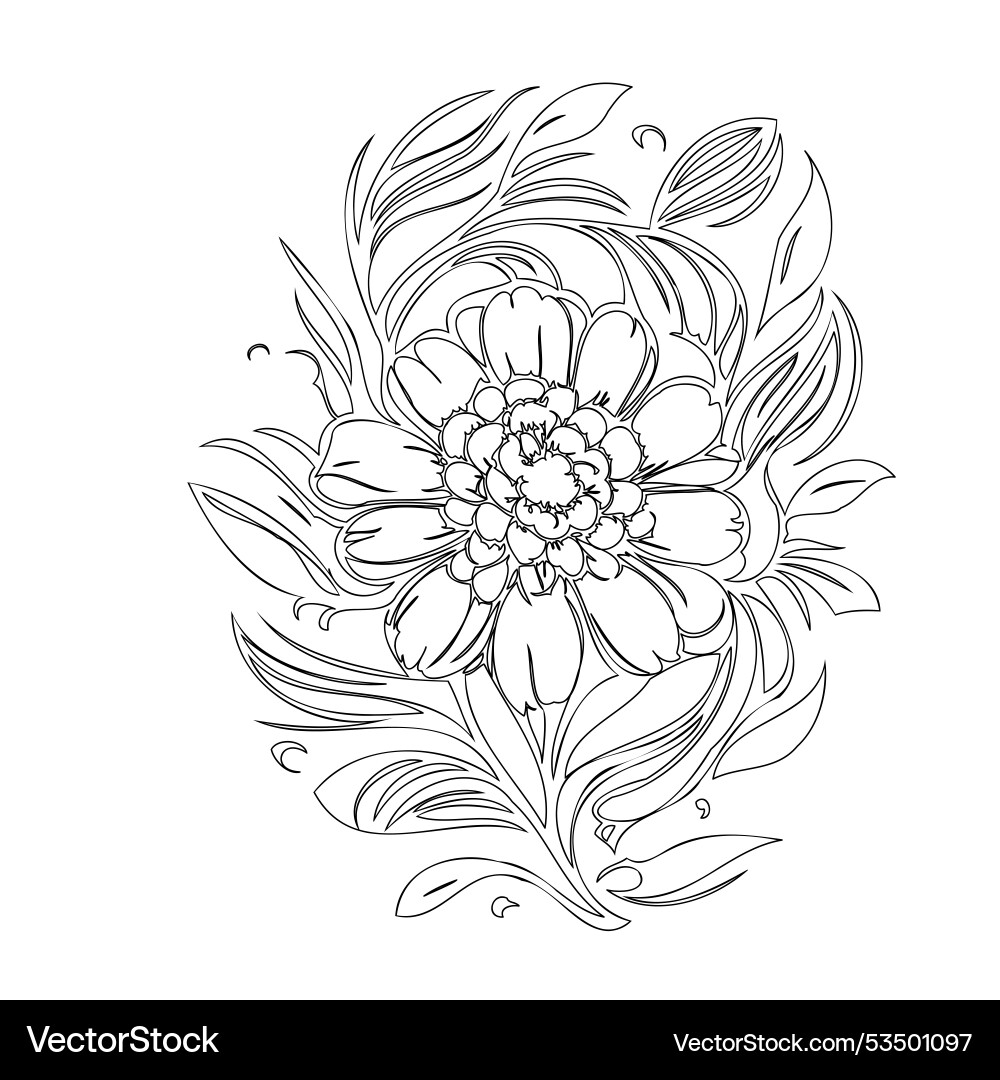 Marigold spiral outline sketch Royalty Free Vector Image