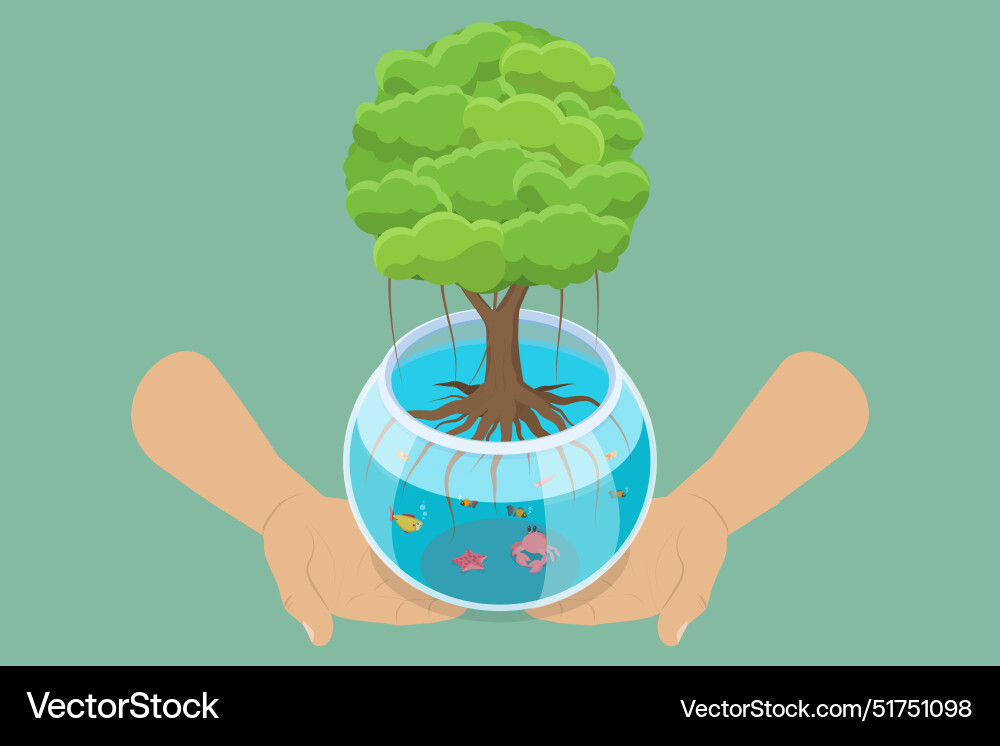 3d isometric flat of mangrove Royalty Free Vector Image