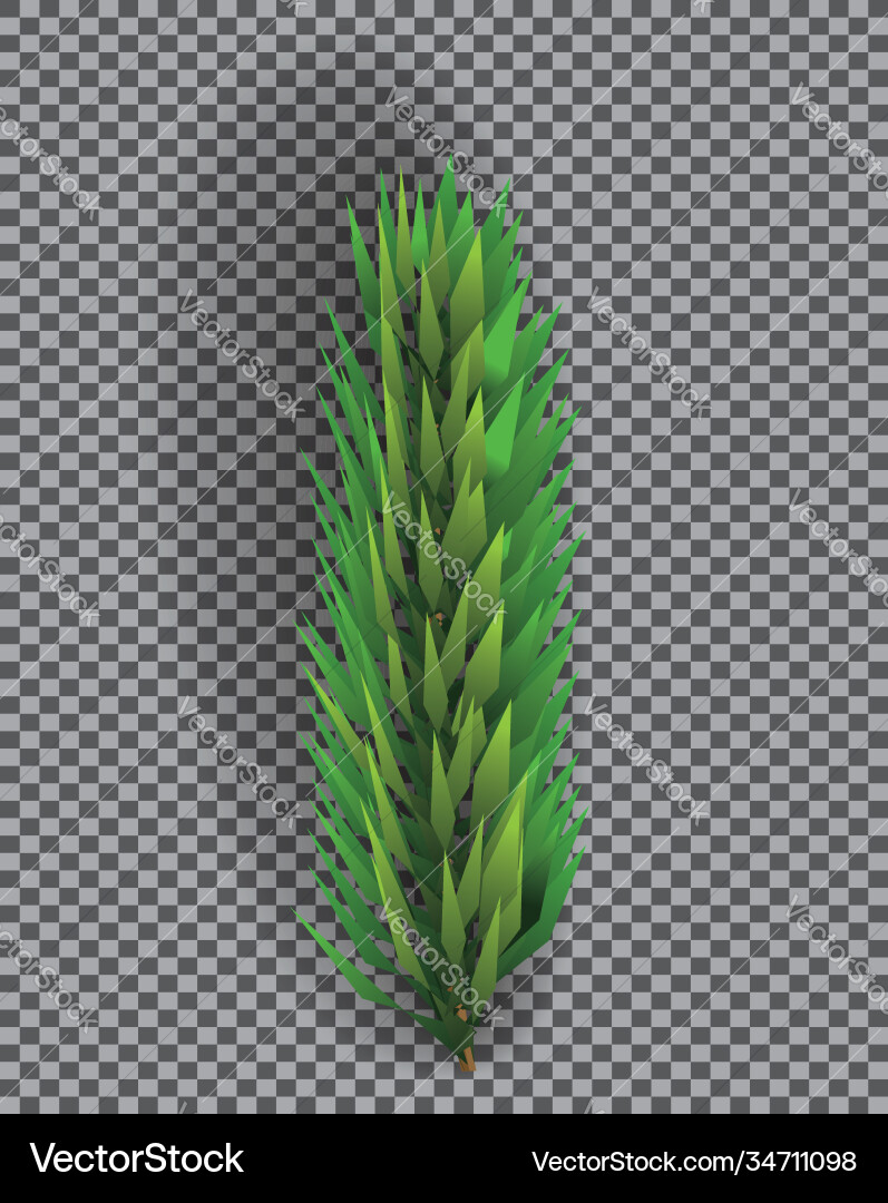 Fir branch christmas tree pine sprig Royalty Free Vector