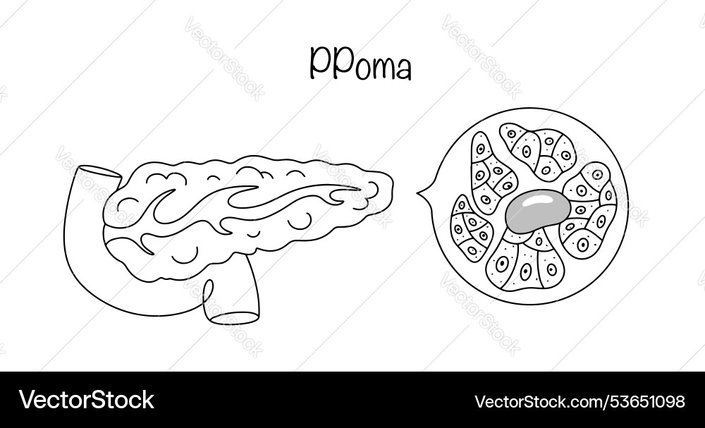Ppoma Royalty Free Vector Image - VectorStock