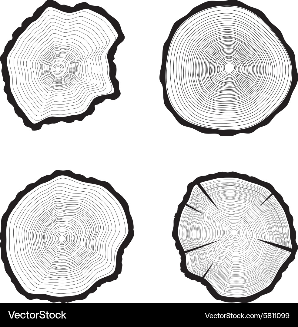 Set tree rings background annual Royalty Free Vector Image