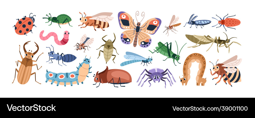Charming Insect Characters Royalty Free Vector Image