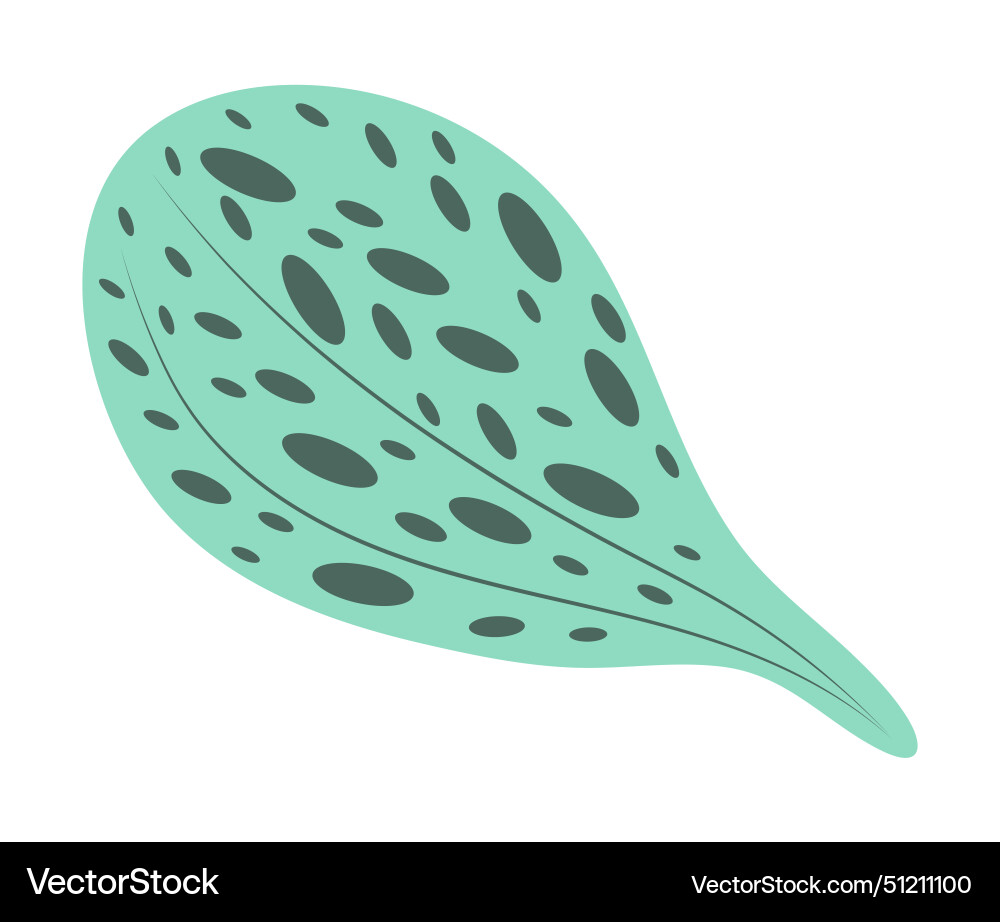 Large rounded leaf with spots pattern in flat Vector Image