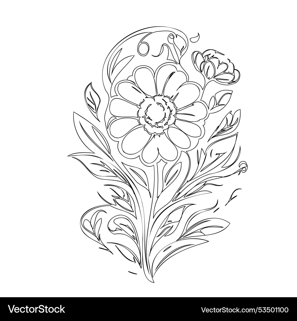 Marigold spiral outline sketch Royalty Free Vector Image