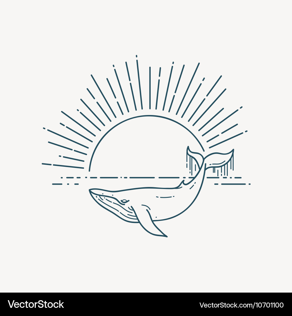 Modern flat linear with whale Royalty Free Vector Image