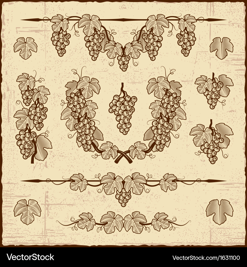 Retro grapes collection Royalty Free Vector Image