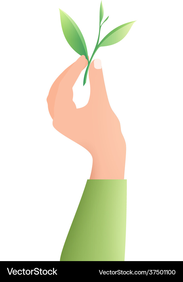 Tea leaf hand composition Royalty Free Vector Image
