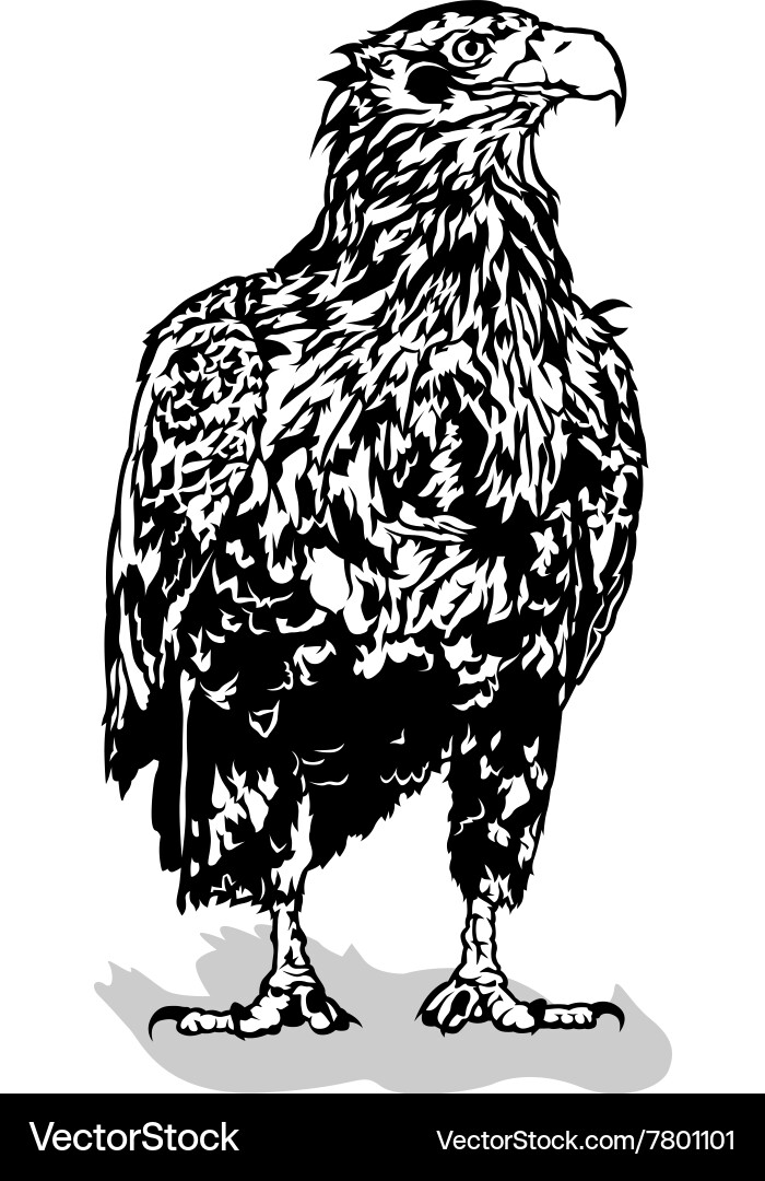 Elegant Standing Eagle Royalty Free Vector Image