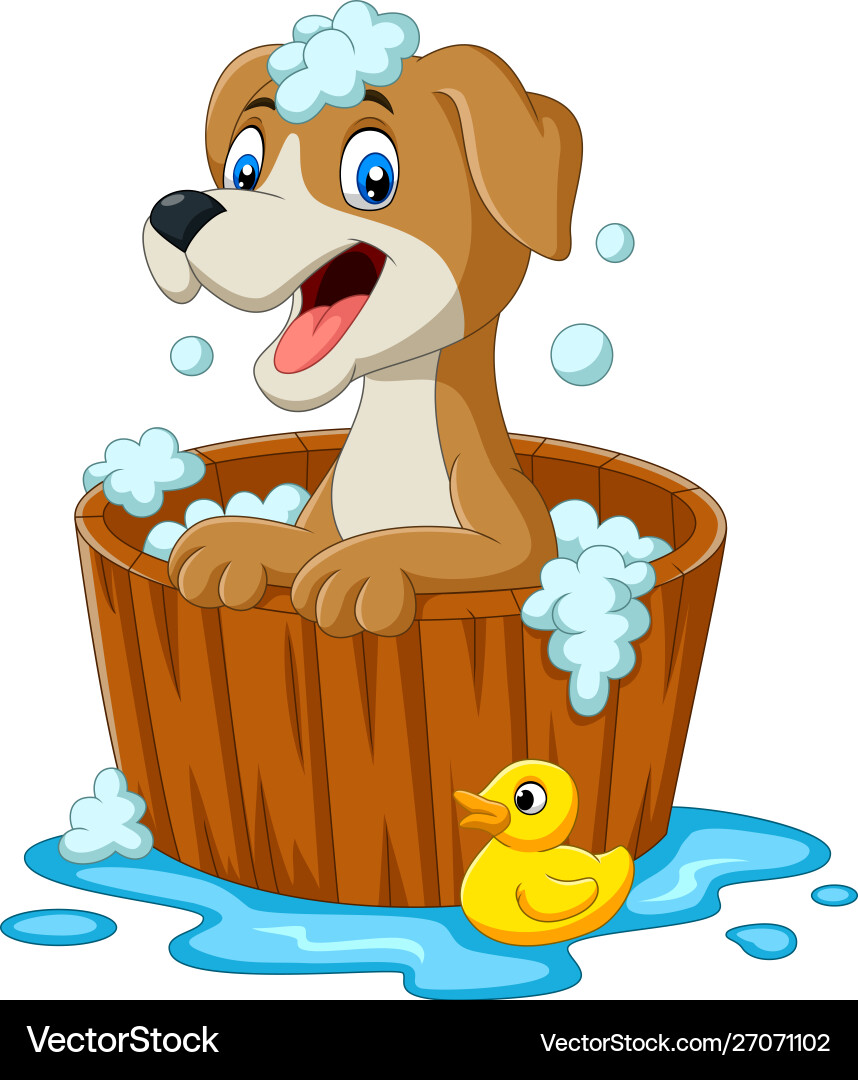 Cartoon Dog Wash Vector Images (over 1,000)