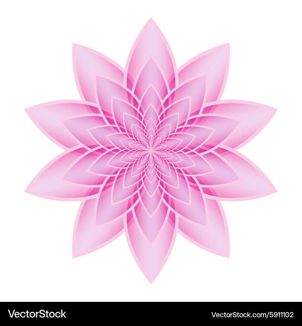 Lotus flower pink Royalty Free Vector Image - VectorStock