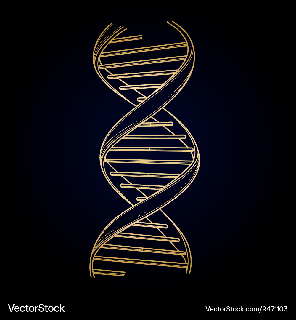 Graphic dna structure Royalty Free Vector Image