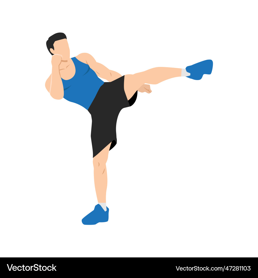 Man doing roundhouse side kicks kick sport Vector Image